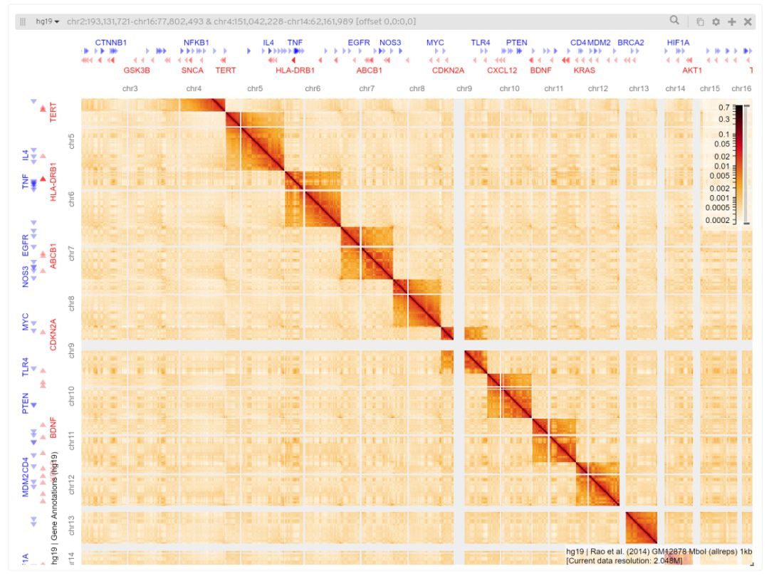 HiGlass:高度定制的Hi-C数据可视化应用-CSDN博客