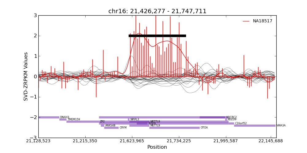 使用conifer进行WES的CNV分析-CSDN博客