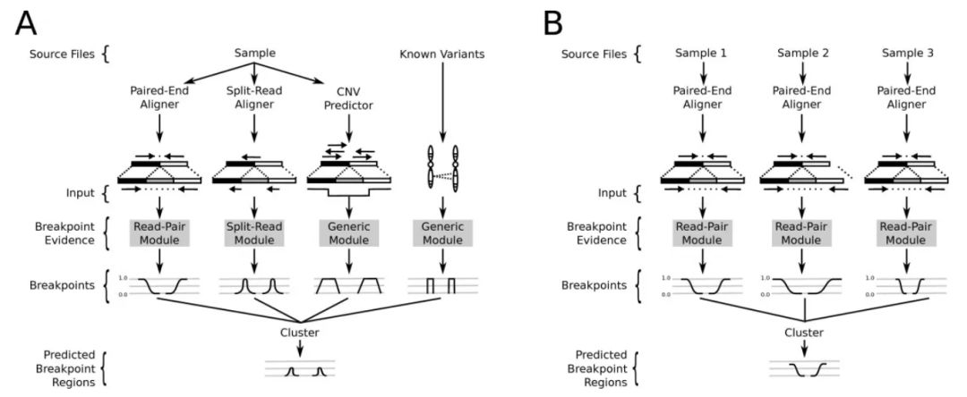 使用lumpy进行CNV检测-CSDN博客