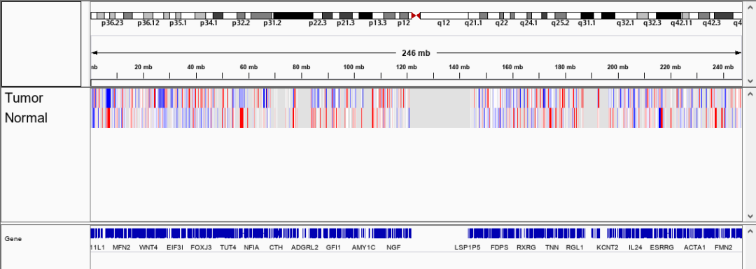 玩转基因组浏览器之展示RNA_seq中的基因表达量-CSDN博客