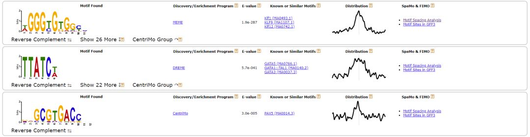使用MEME-ChIP挖掘序列中的de novo motif-CSDN博客