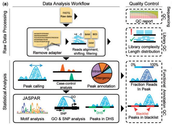 强烈推荐！Encode官方的ATAC数据分析流程 - 程序员大本营