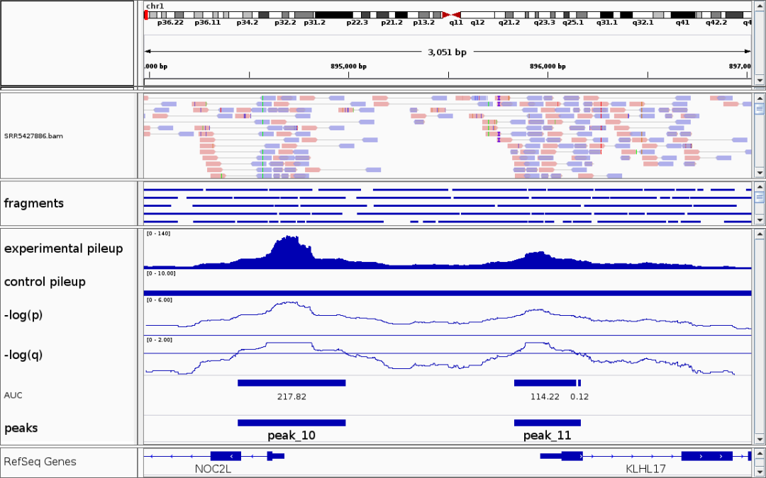 引用2000多次的ATAC经典文献也在用的peak calling软件-Genrich-CSDN博客