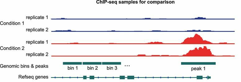 depth, bedgraph, bigwig之间的联系与区别-CSDN博客
