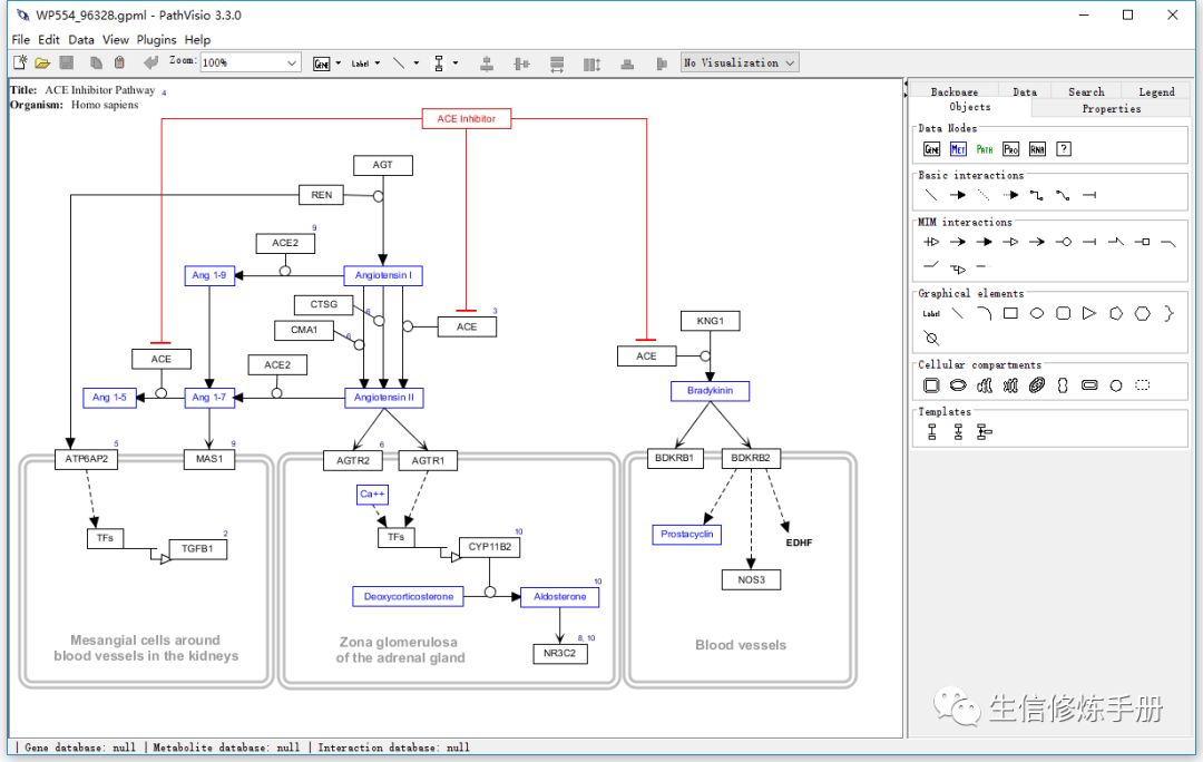 PathVisio : wiki pathway 通路图可视化工具-CSDN博客