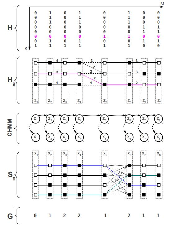 使用shapeit进行单倍型分析-CSDN博客
