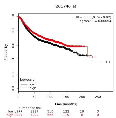 使用kmplot在线进行生存分析-CSDN博客