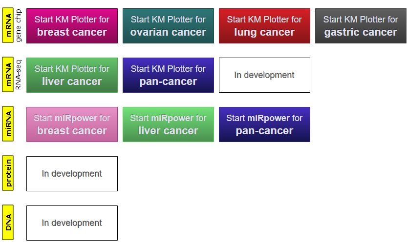 使用kmplot在线进行生存分析-CSDN博客