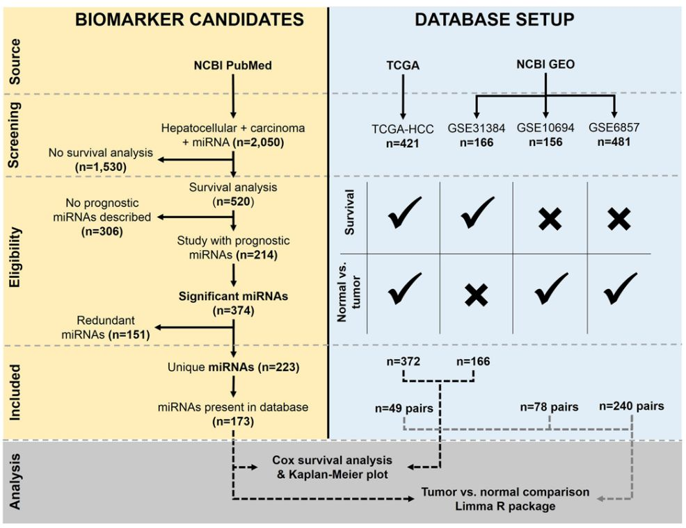 使用kmplot在线进行生存分析-CSDN博客