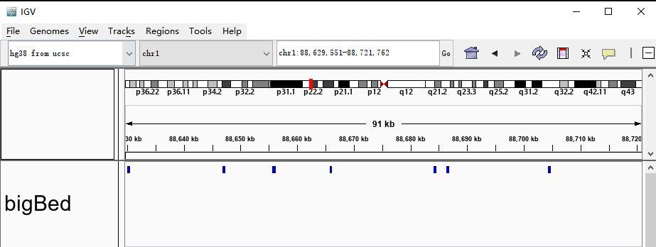 玩转基因组浏览器之展示bed文件-CSDN博客