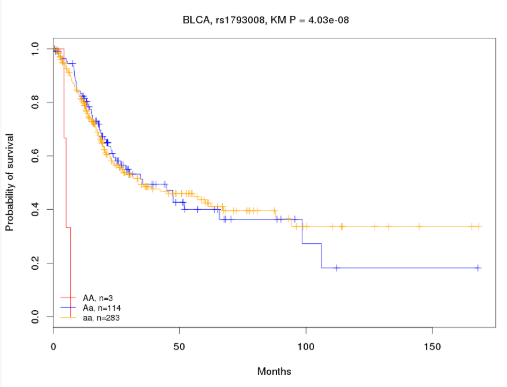ncRNA-eQTL:eQTL与ncRNA的碰撞-CSDN博客