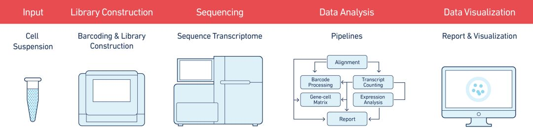 scRNA_seq:单细胞转录组测序简介-CSDN博客