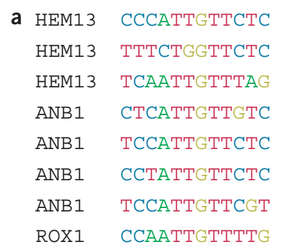 TRANSFAC:转录因子及其靶基因数据库-CSDN博客