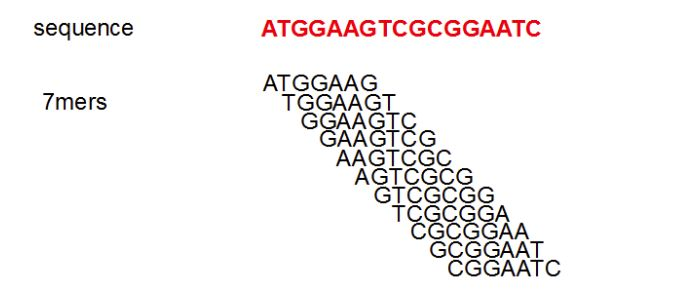 基因组组装中的kmer究竟是何方神圣-CSDN博客
