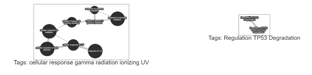 pathway common:综合性的pathway数据库-CSDN博客
