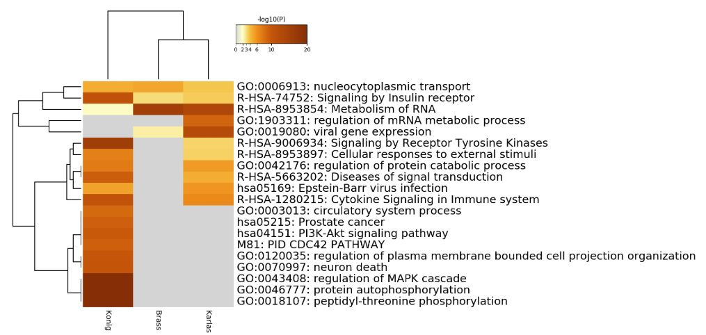 metascape: 最强大的基因富集分析在线工具-CSDN博客