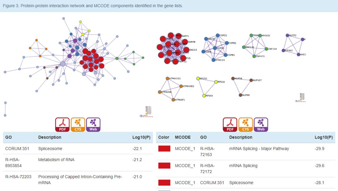 metascape: 最强大的基因富集分析在线工具-CSDN博客