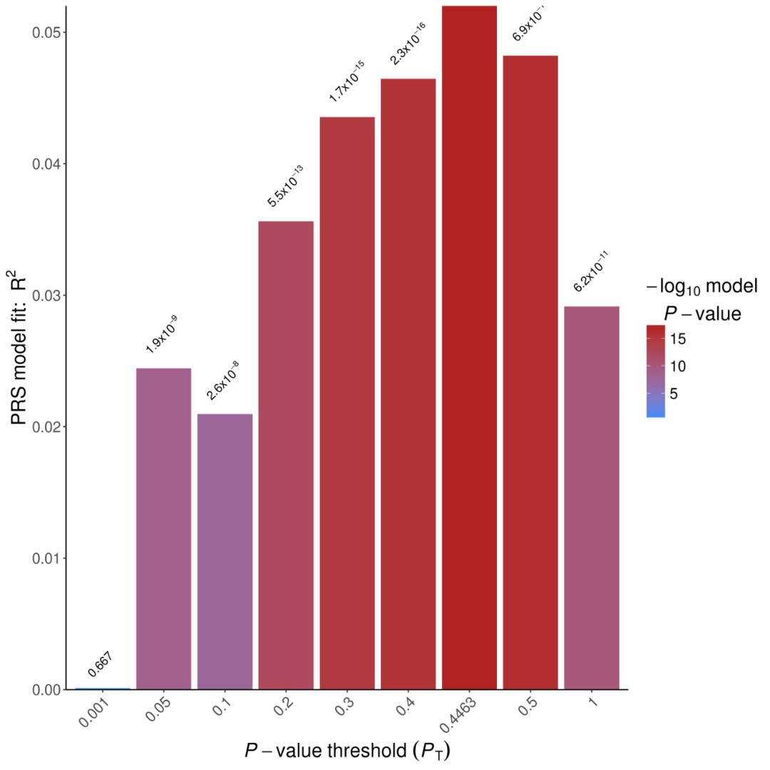 使用PRSice进行多基因风险评分分析-CSDN博客