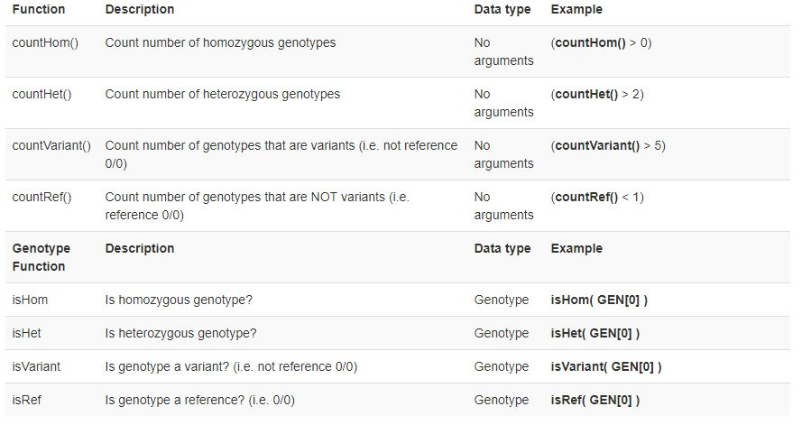 使用SnpSift filter对VCF文件进行筛选-CSDN博客