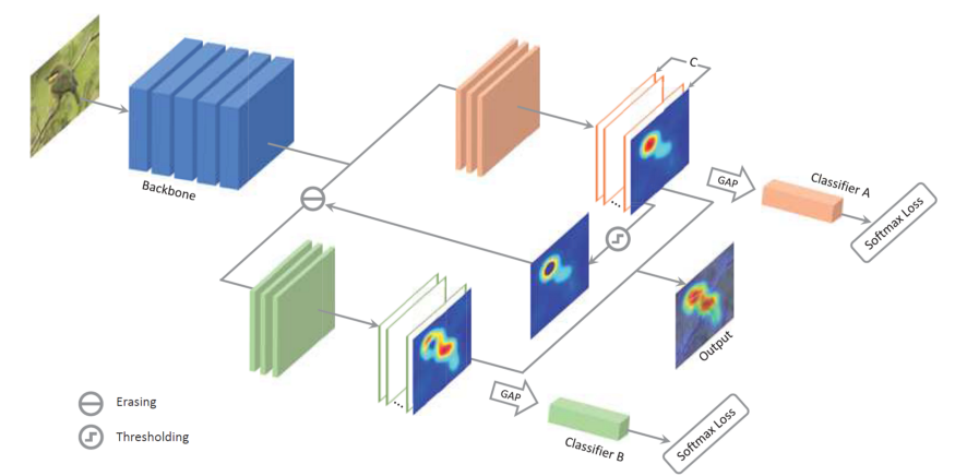 【论文解读】ACoL：对抗互补学习，弱监督物体定位方法-CSDN博客