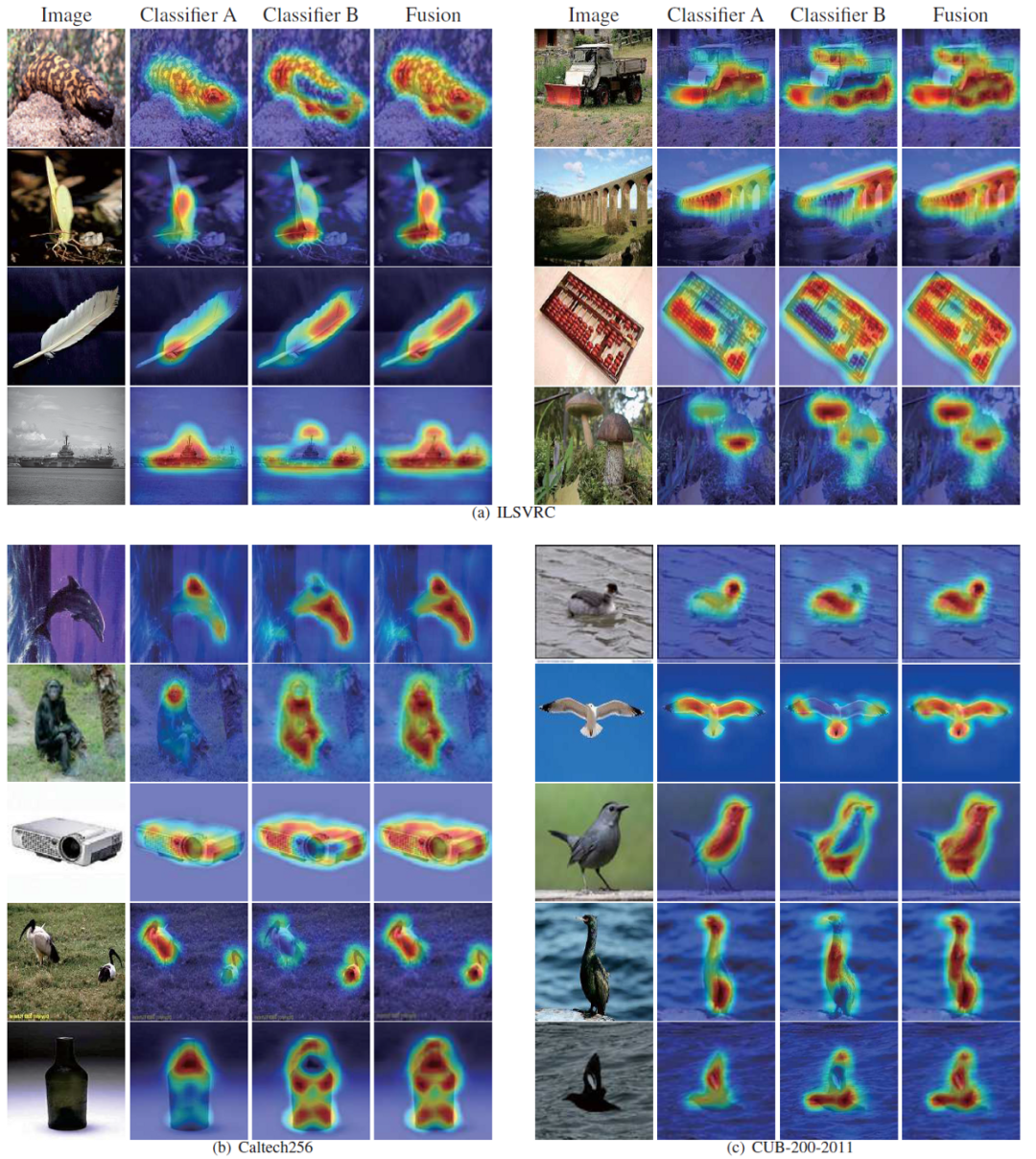 【论文解读】ACoL：对抗互补学习，弱监督物体定位方法-CSDN博客