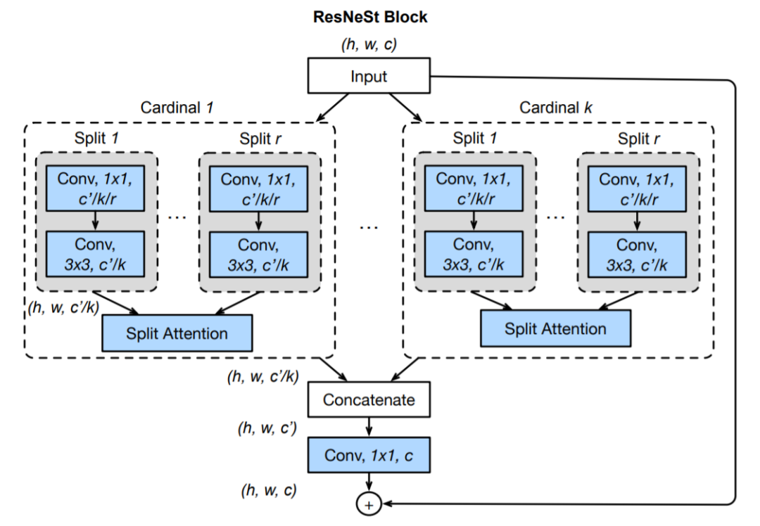 【CV中的注意力机制】史上最强"ResNet"变体--ResNeSt-CSDN博客