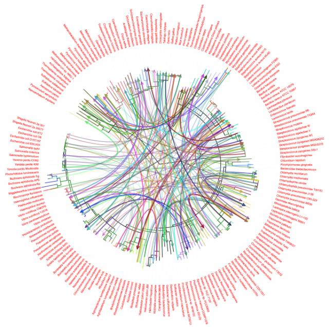 教你用iTOL轻松绘制高颜值系统进化树-CSDN博客