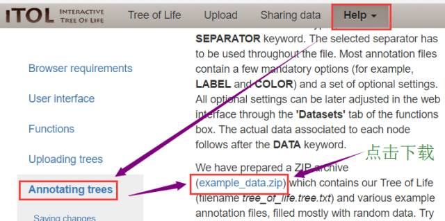 教你用iTOL轻松绘制高颜值系统进化树-CSDN博客