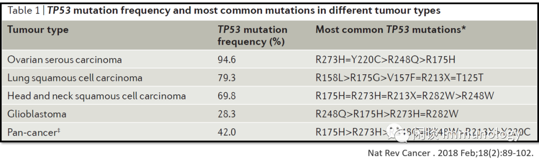 P53：进化了8亿年的抑癌基因-CSDN博客