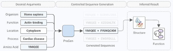 ProGen：蛋白质生成语言模型_蛋白质语言模型-CSDN博客