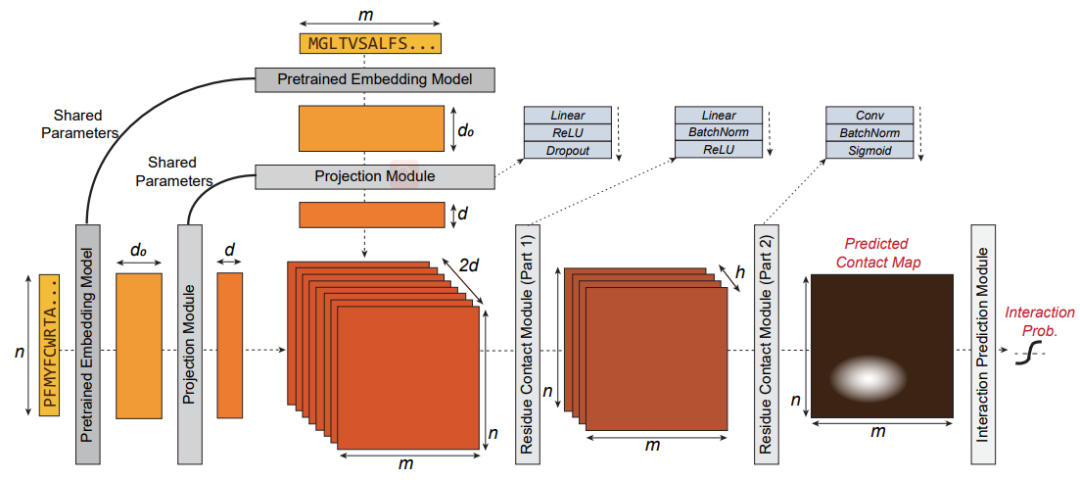 MIT | 一种可解释的PPI预测模型_生物学ppi算法-CSDN博客