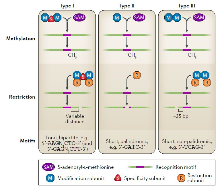 Nat Rev Genet发表房刚组细菌表观组综述论文-CSDN博客