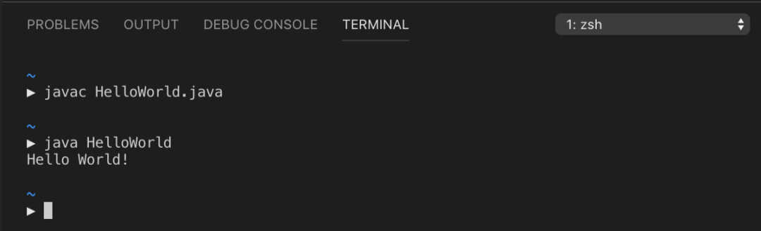 VSCode JAVA运行设置_vscode debug java-CSDN博客