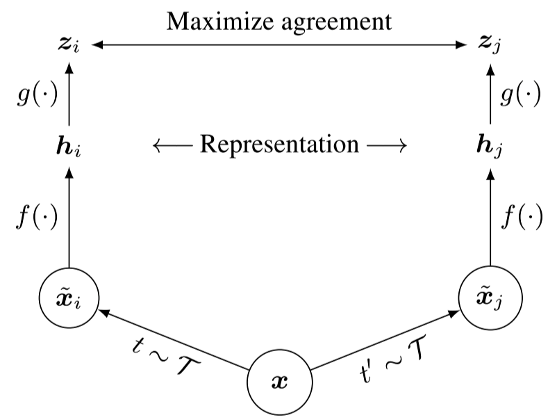 对比学习（Contrastive Learning）相关进展梳理-CSDN博客