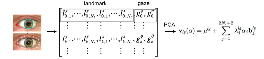 视线估计（Gaze Estimation）简介概述-CSDN博客