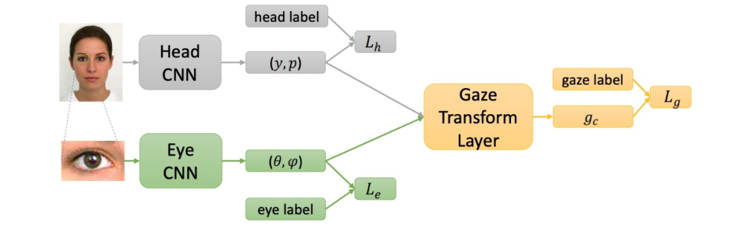 视线估计（Gaze Estimation）简介概述-CSDN博客