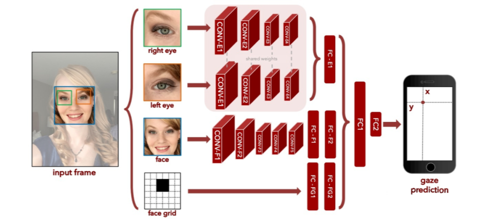 视线估计（Gaze Estimation）简介概述-CSDN博客