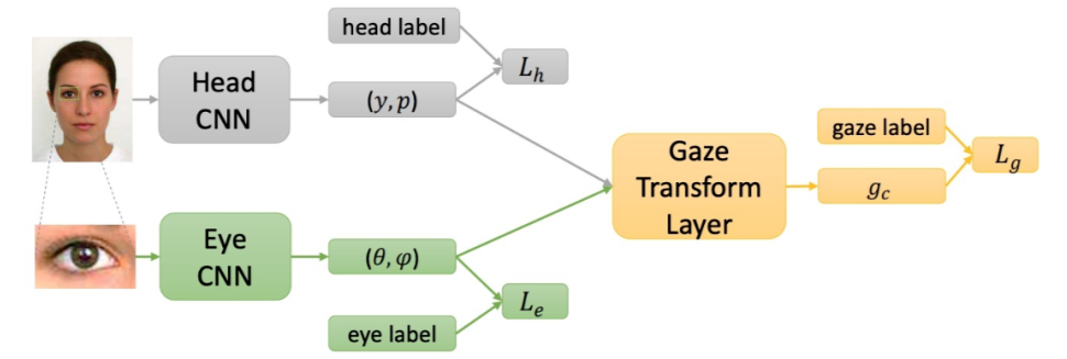 视线估计（Gaze Estimation）简介概述-CSDN博客
