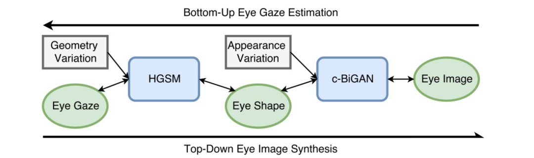 视线估计（Gaze Estimation）简介概述-CSDN博客