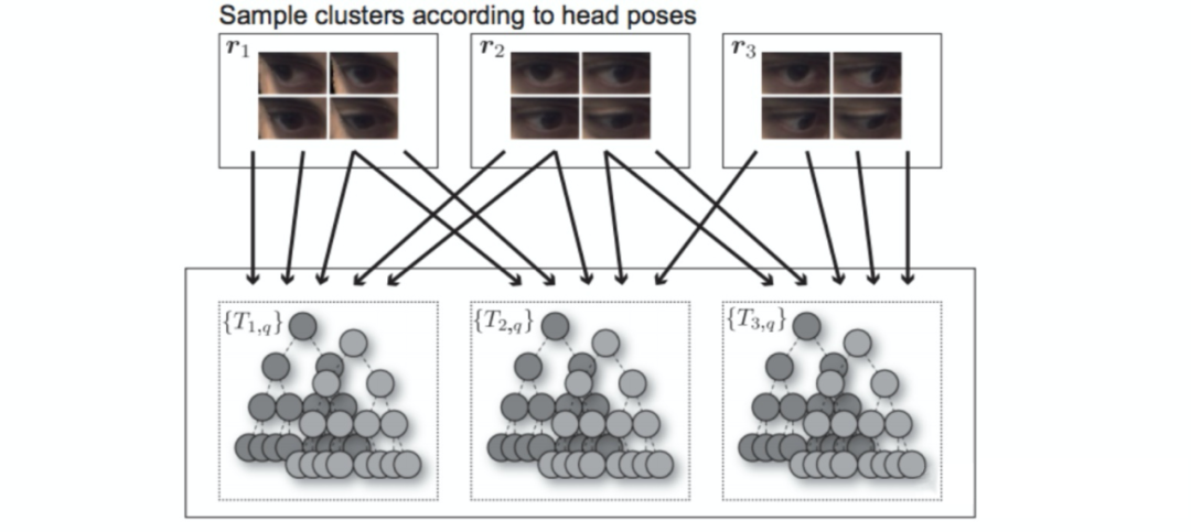 视线估计（Gaze Estimation）简介概述-CSDN博客