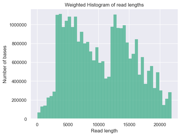 NanoPlot：三代纳米孔测序数据质量评估-CSDN博客