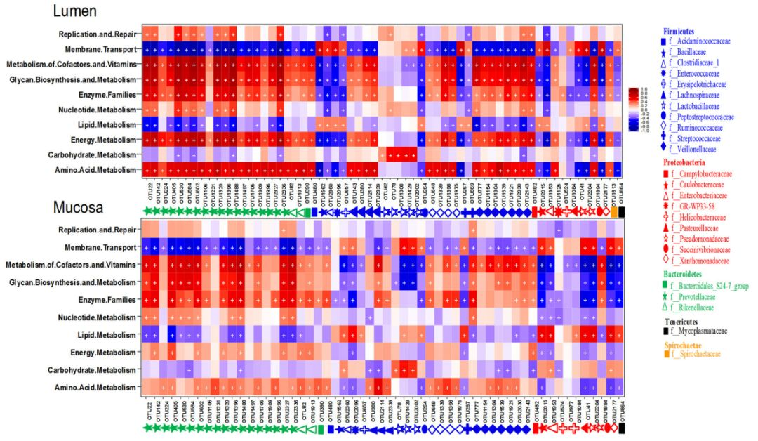 R包ComplexHeatmap绘制个性化热图-CSDN博客