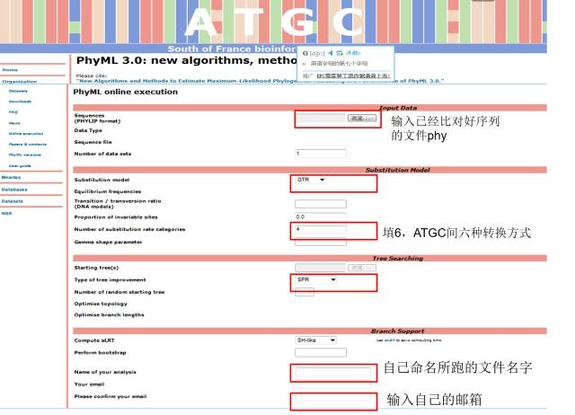 用在线RaxML构建系统发育树-CSDN博客