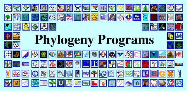 用在线RaxML构建系统发育树-CSDN博客