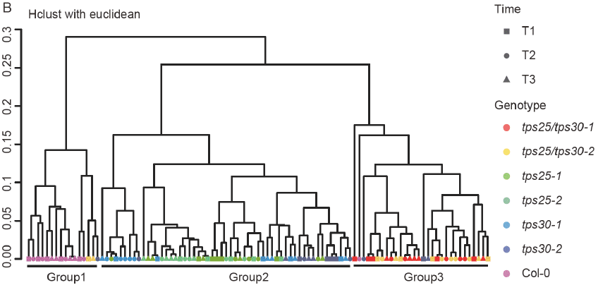 SCLS：拟南芥二半萜类化合物调控根系微生物组-CSDN博客