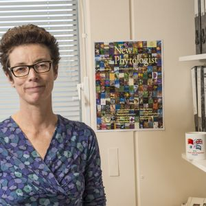 专家点评Science：中英合作揭示拟南芥三萜化合物特异调控根系微生物组-CSDN博客