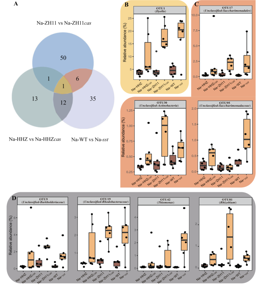 mSystems：华南农大揭示水稻SST基因调控根际微生物协同耐盐机制-CSDN博客