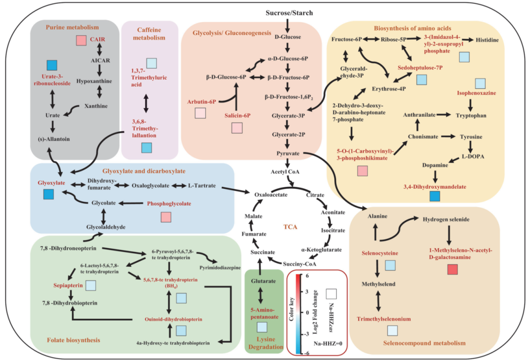 mSystems：华南农大揭示水稻SST基因调控根际微生物协同耐盐机制-CSDN博客