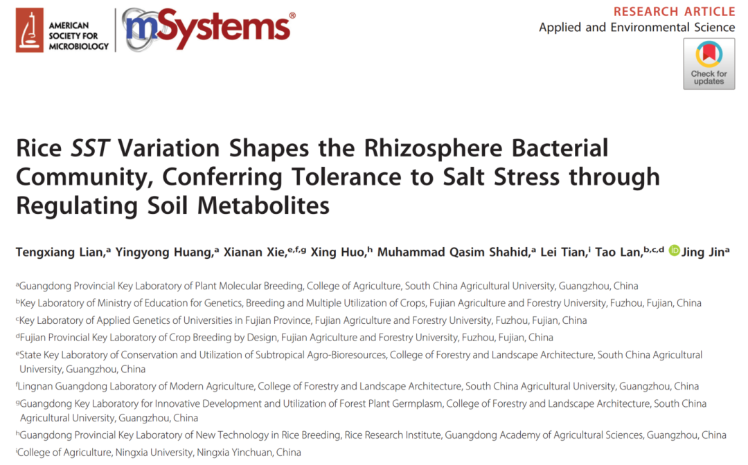 mSystems：华南农大揭示水稻SST基因调控根际微生物协同耐盐机制-CSDN博客