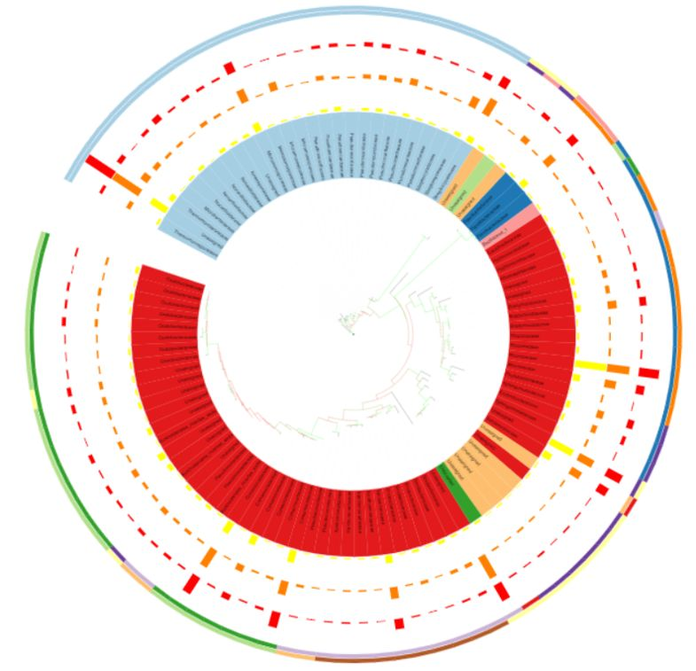 iTOL：快速绘制超高颜值的进化树！-CSDN博客